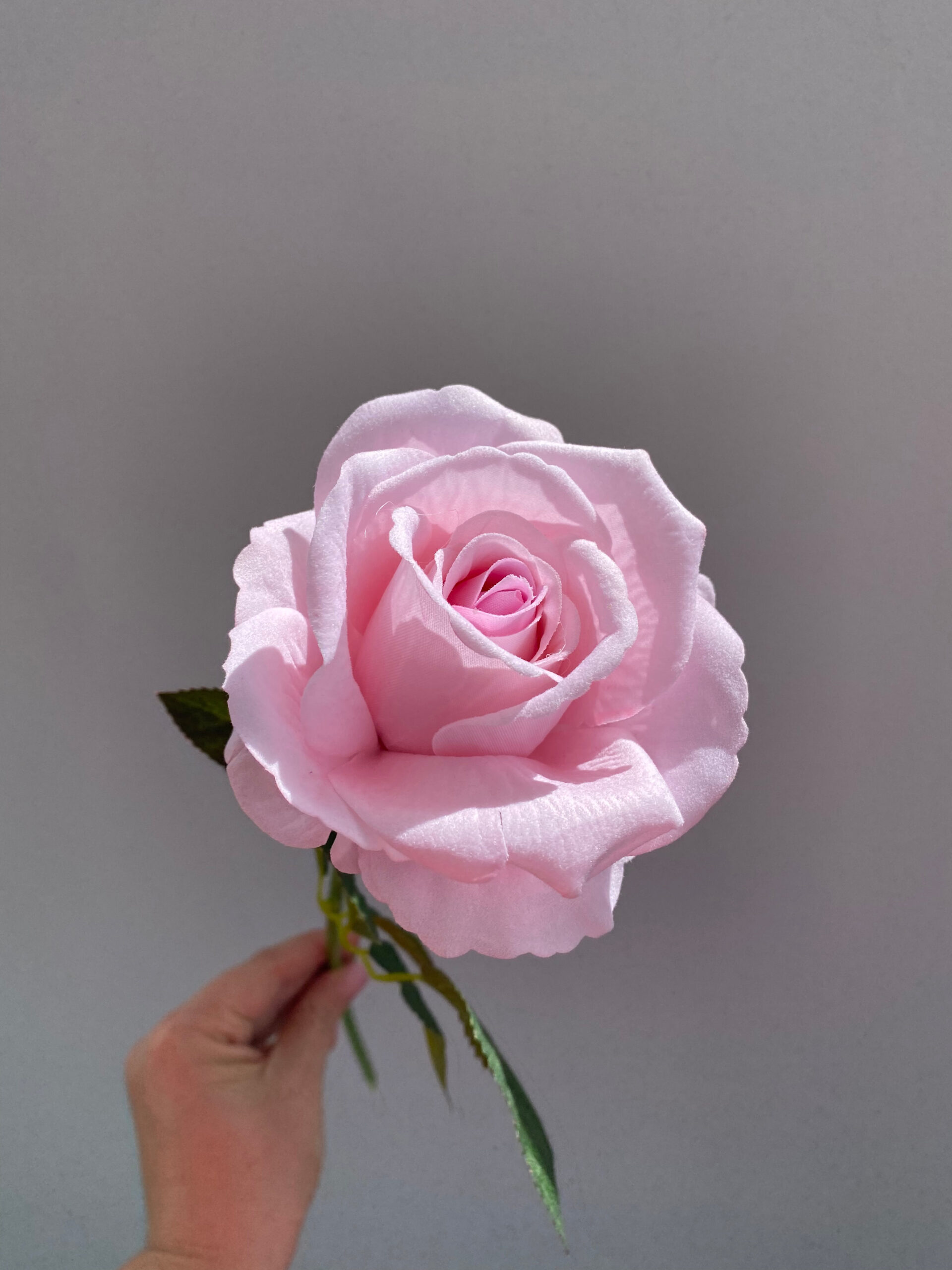 Pastel Pink Bella Velvet Rose - The Silk Studio