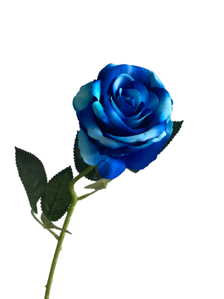 Blue Bella Velvet Rose | Silk Studio