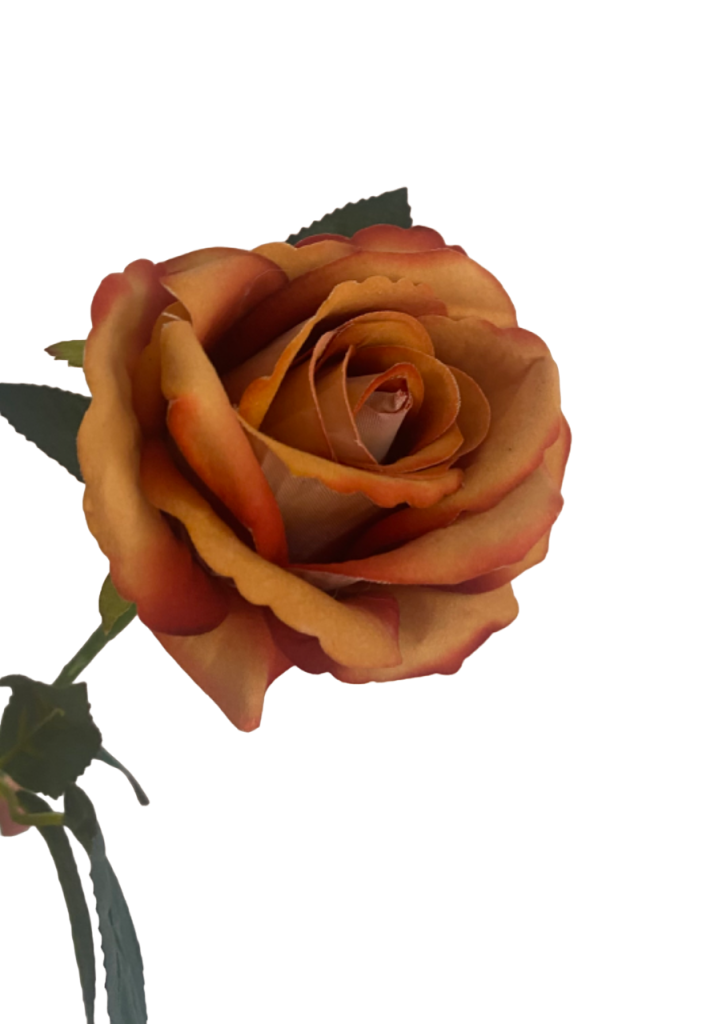 Burnt Orange Bella Velvet Rose | Silk Studio