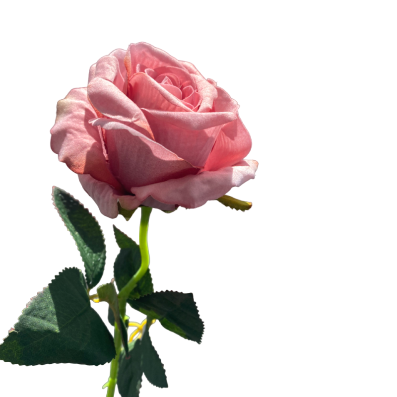 Dusty Pink Bella Velvet Rose | Silk Studio