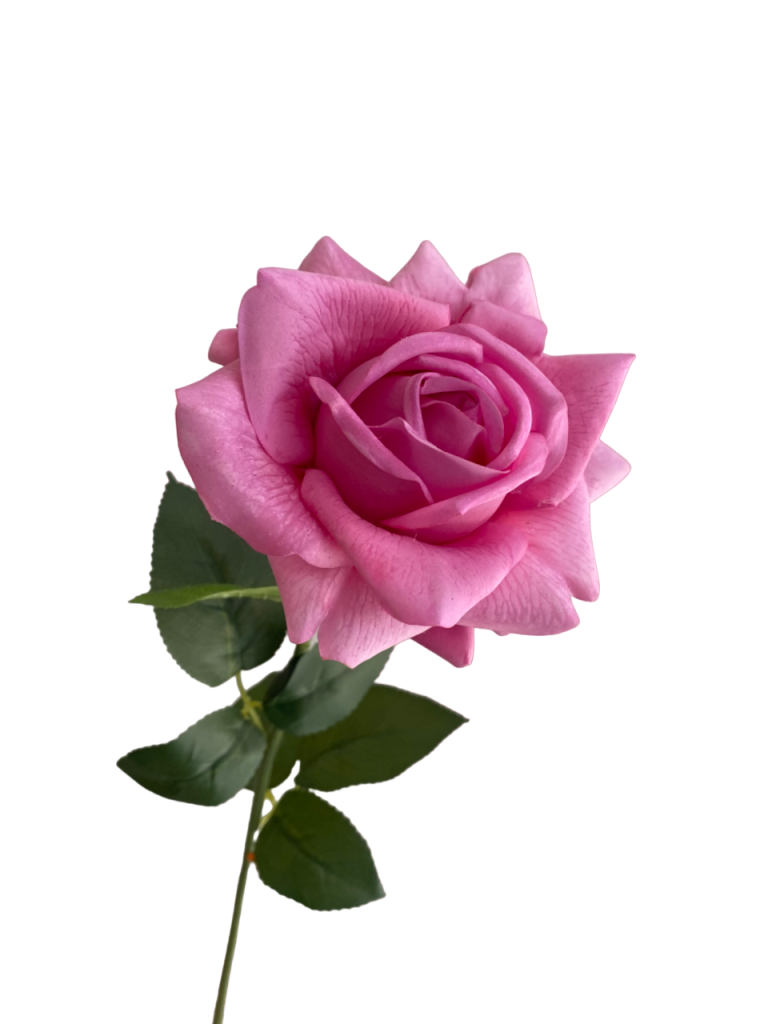 Hot Pink Eva Real Touch Rose | Silk Studio