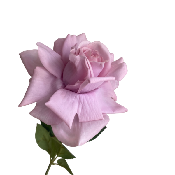 Real Touch Flowers & Plants Australia