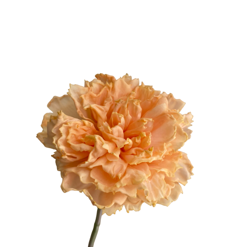 Buy Fake Carnation Flowers Online In Australia