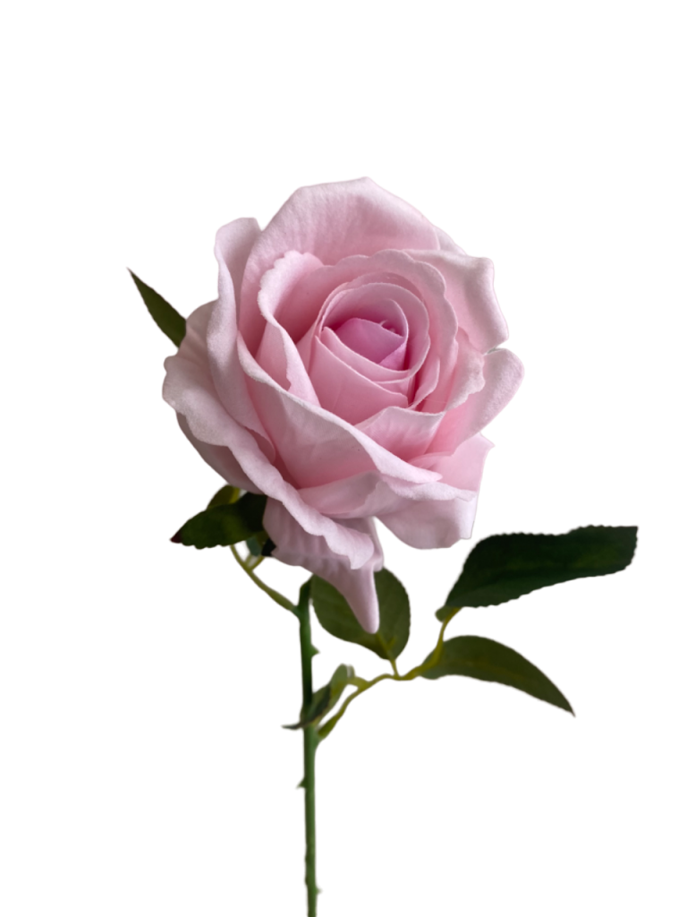 Pastel Pink Bella Velvet Rose | Silk Studio