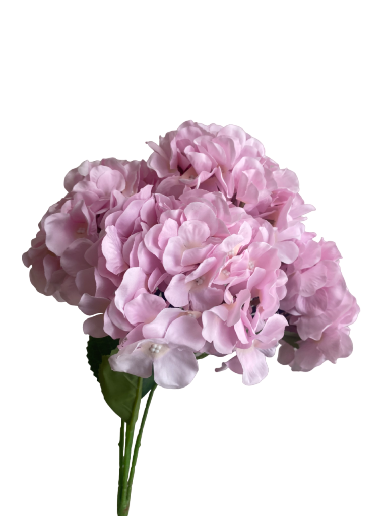 Pink Bianca 5-Head Hydrangea Bunch | Silk Studio