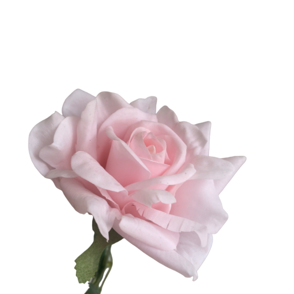 Real Touch Flowers & Plants Australia