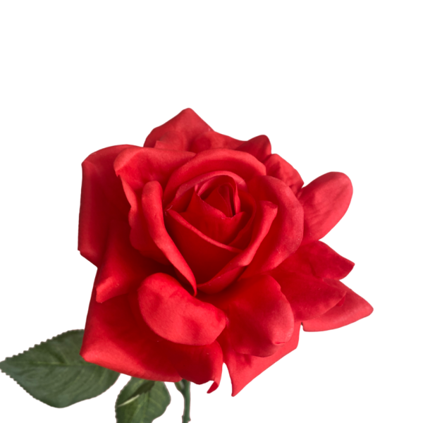 Real Touch Flowers & Plants Australia