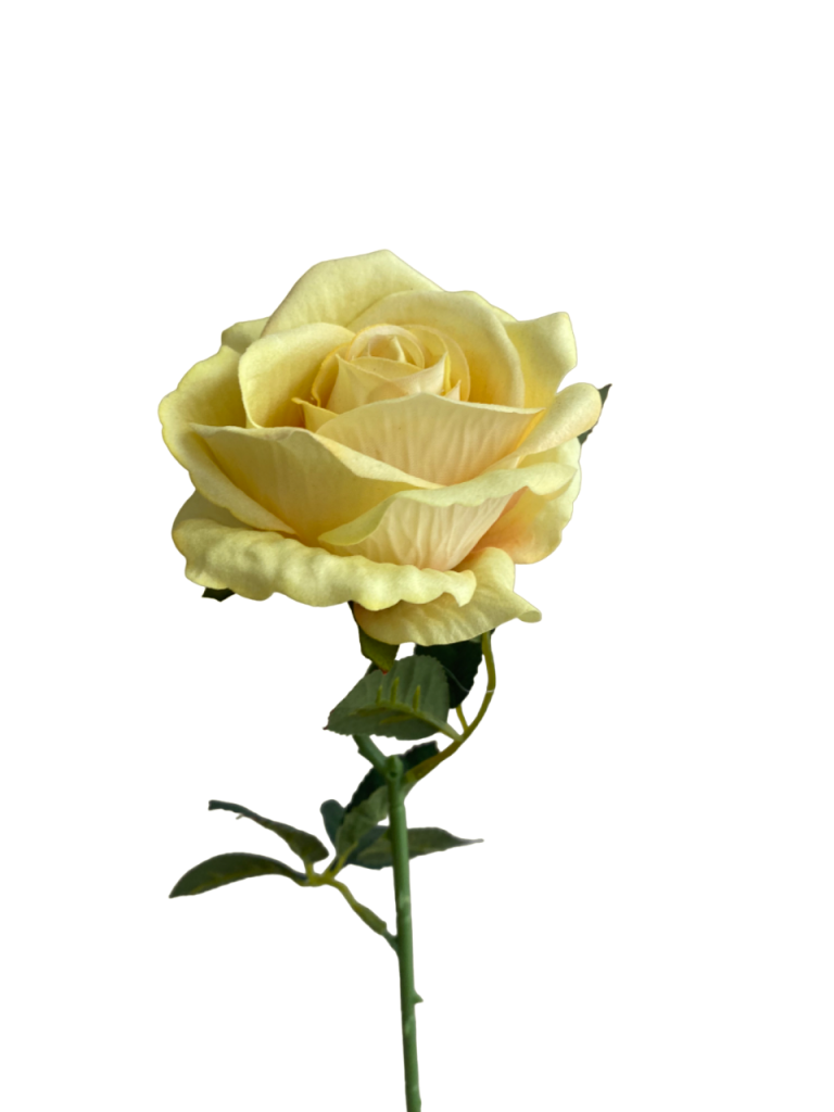 Yellow Bella Velvet Rose | Silk Studio