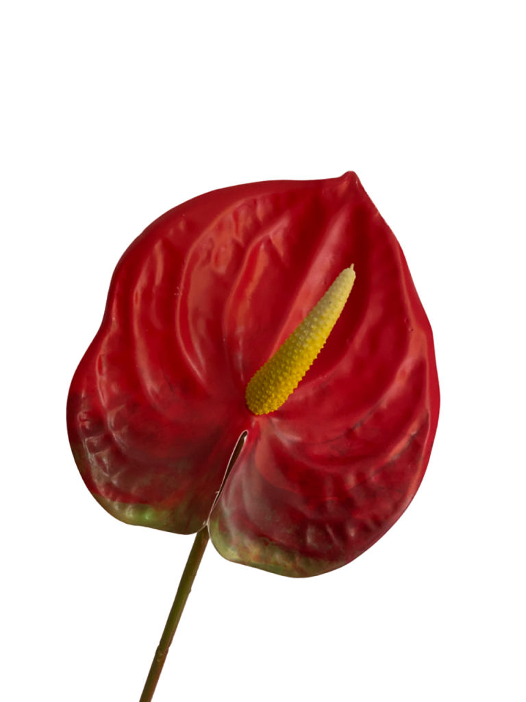 Red Luna Real Touch Anthurium | Silk Studio