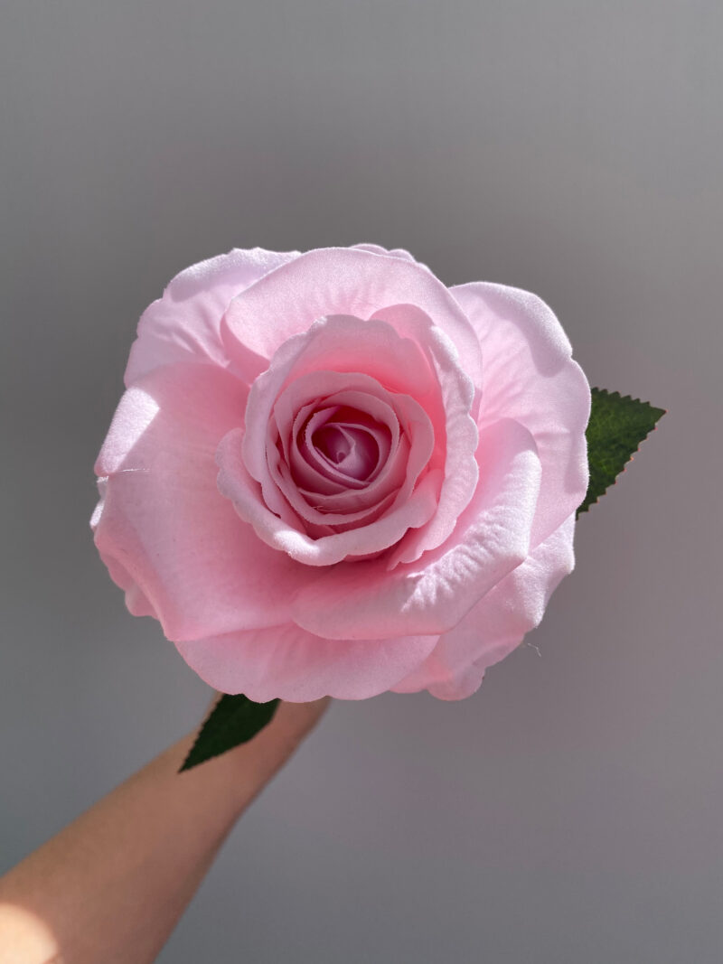 Pastel Pink Bella Velvet Rose | Silk Studio