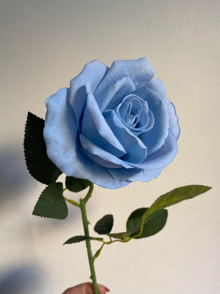 Baby Blue Bella Velvet Rose | Silk Studio
