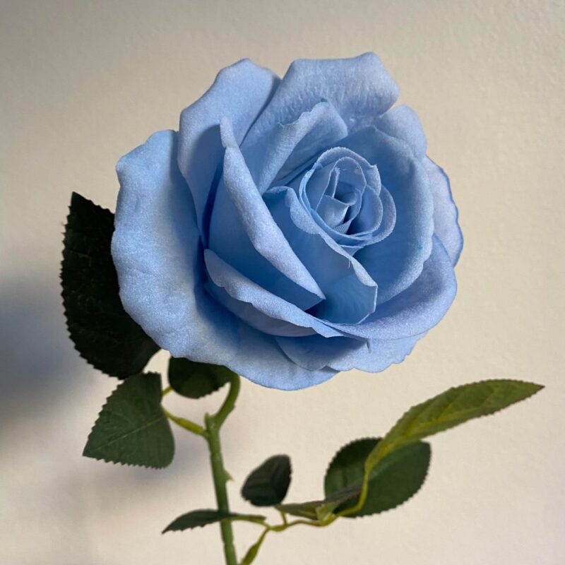 Baby Blue Bella Velvet Rose | Silk Studio