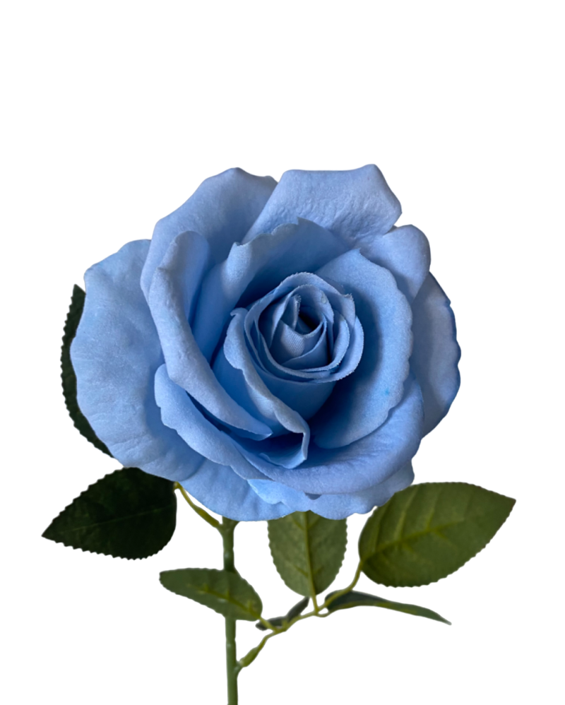 Baby Blue Bella Velvet Rose | Silk Studio