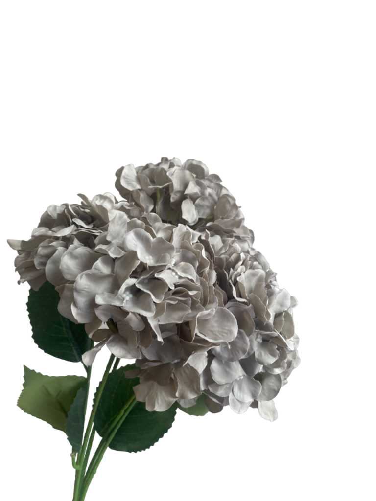 Light Grey Bianca 5-Head Hydrangea Bunch | Silk Studio