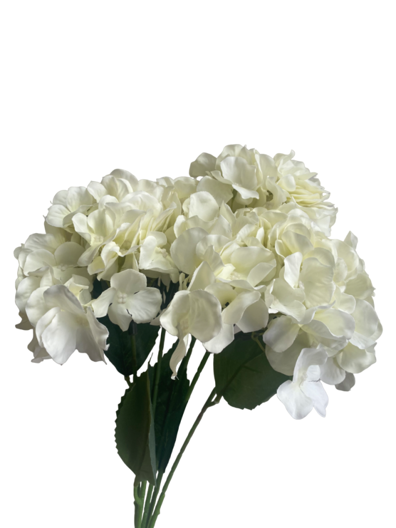 Ivory Bianca 5-Head Hydrangea Bunch | Silk Studio