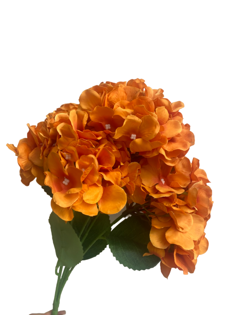 Orange Bianca 5-Head Hydrangea Bunch | Silk Studio