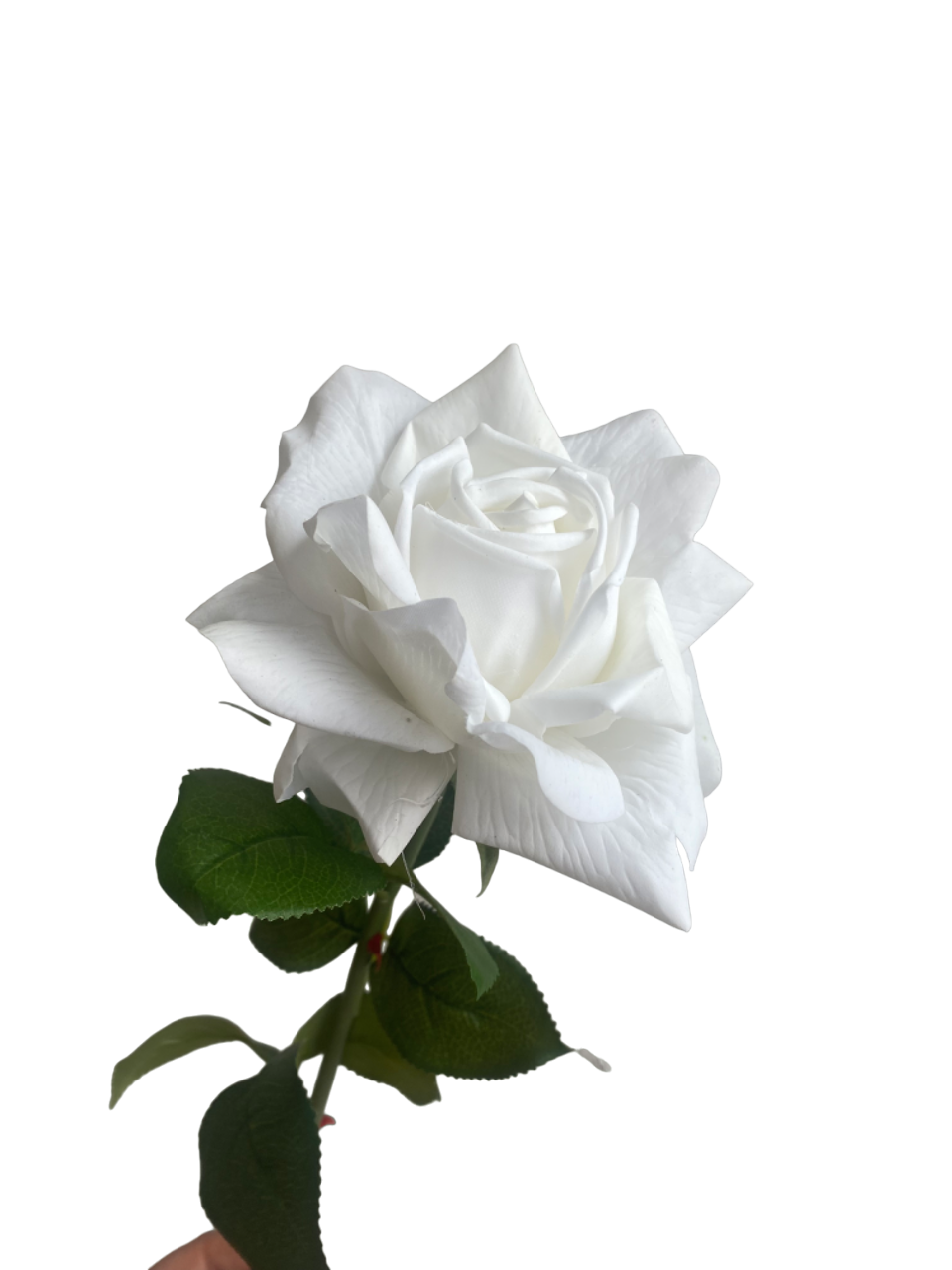 White Eva Real Touch Rose | Silk Studio