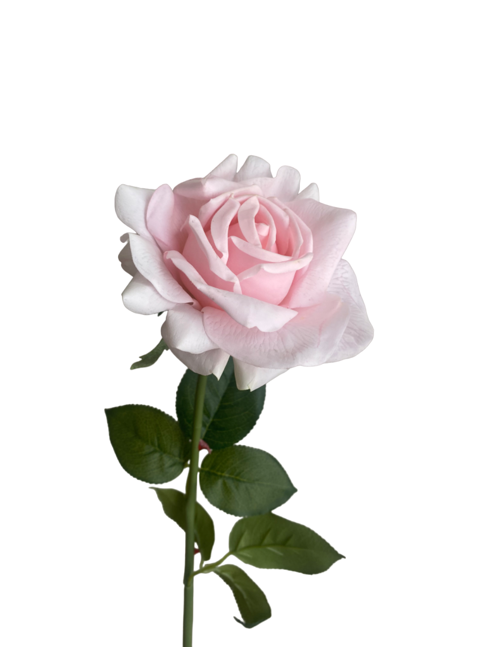 Light Pink Eva Real Touch Rose | Silk Studio