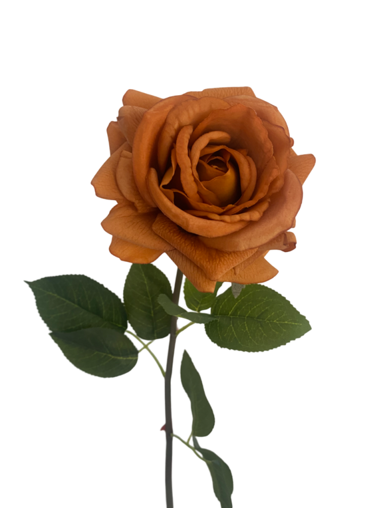 Burnt Orange Hayley Real Touch Rose | The Silk Studio