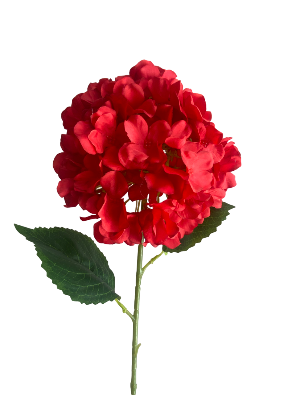 Red Delta Hydrangea Stem | Silk Studio