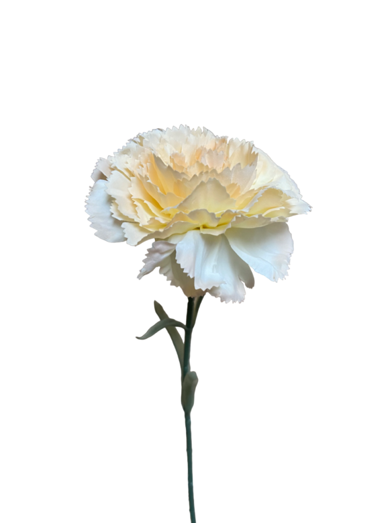 Champagne Gigi Silk Carnation | Silk Studio