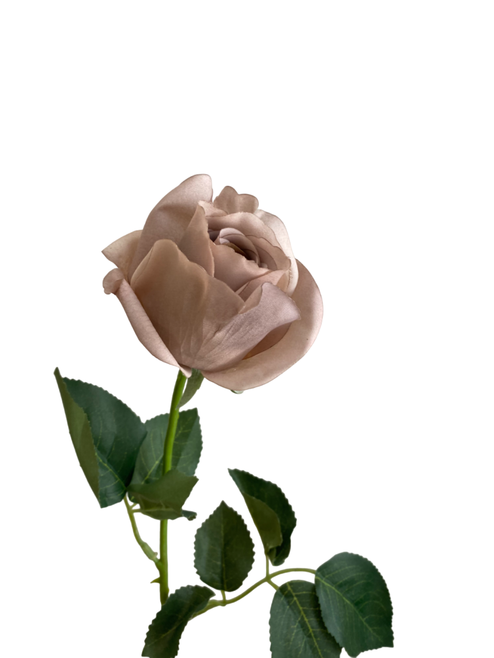 Latte Emma Real Touch Rose Bud | Silk Studio