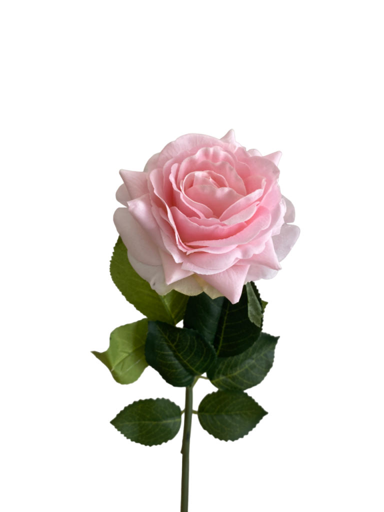 Light Pink Elena Real Touch Rose | Silk Studio