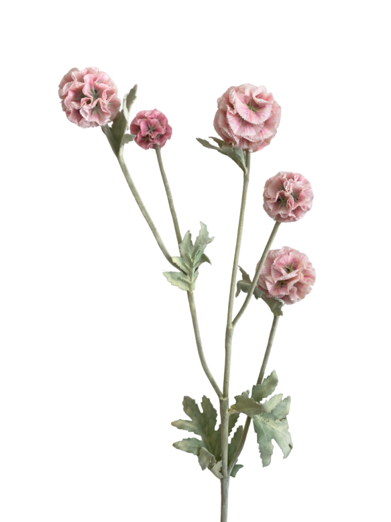 Light Pink Pia Scabiosa Spray | Silk Studio