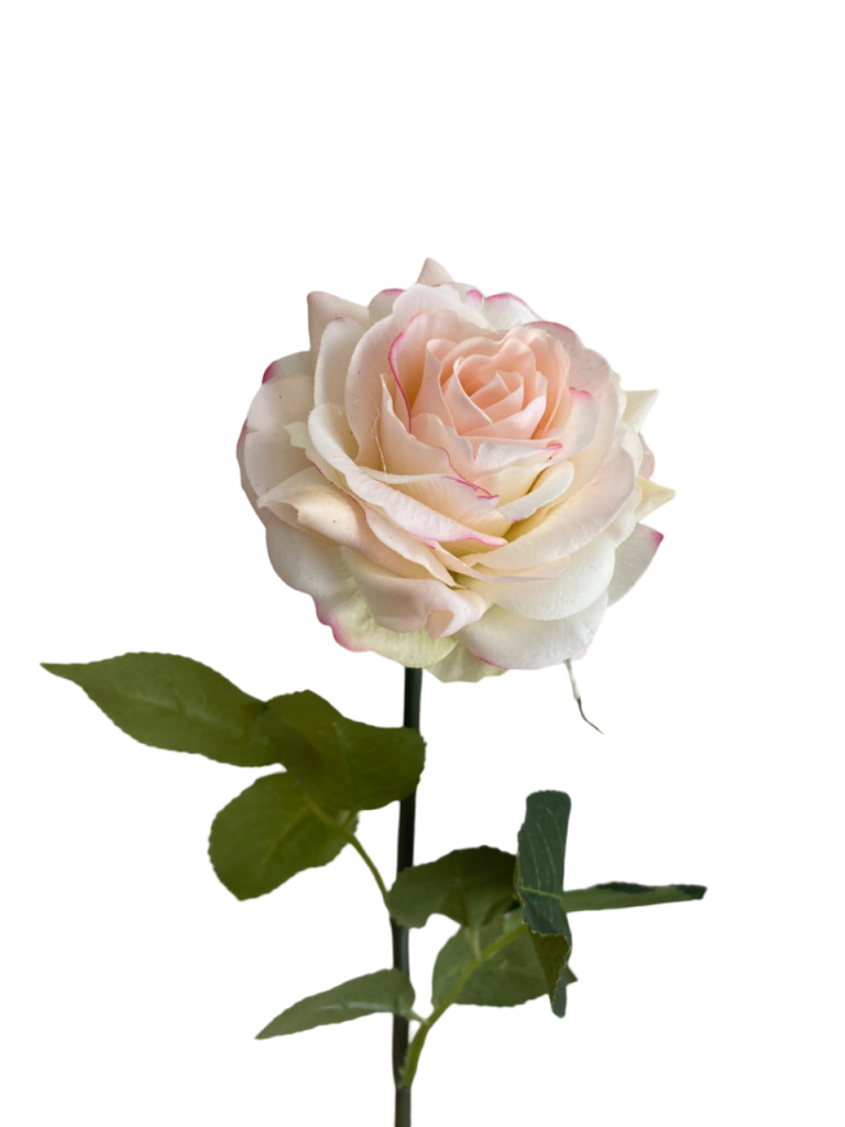 Pink Fringe Elena Real Touch Rose | Silk Studio