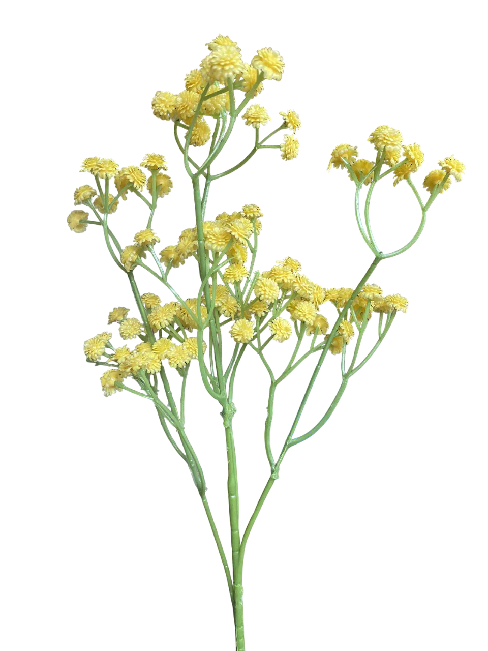 Yellow Brianna Baby Breath | Silk Studio